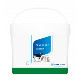 Vitalfort 5 kg