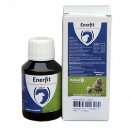 Enerfit lam 100 ml
